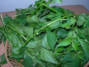 Keerai Nutrition: Types and Health Benefits Explained