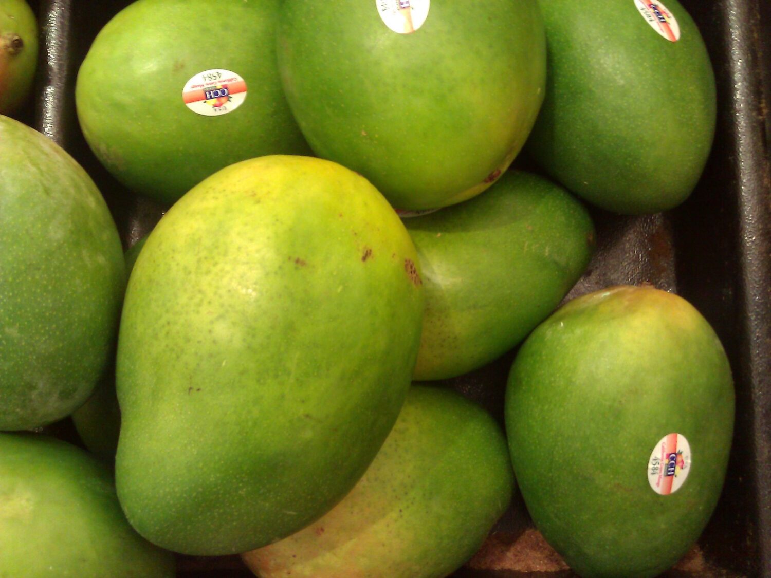 Mangoes - Kamalas Corner