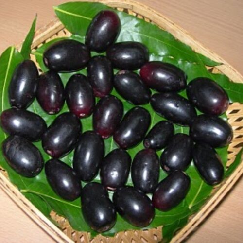 Fruits - Kamalas Corner