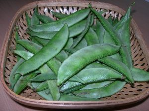 Avaraikai (Broad Beans) - Kamala's Corner