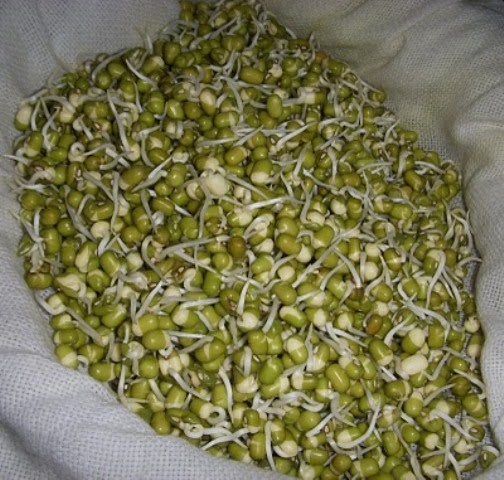 Green Gram Sprouts - Kamala's Corner