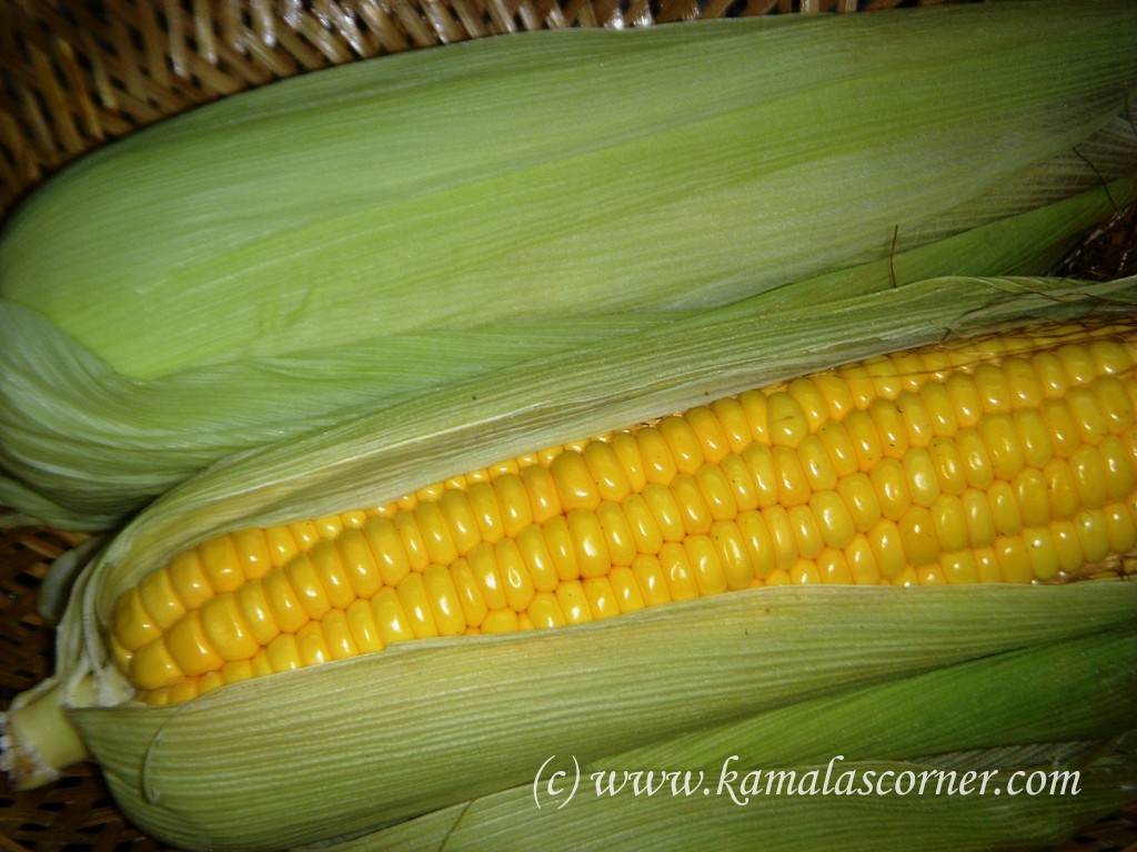 Corn - Kamalas Corner